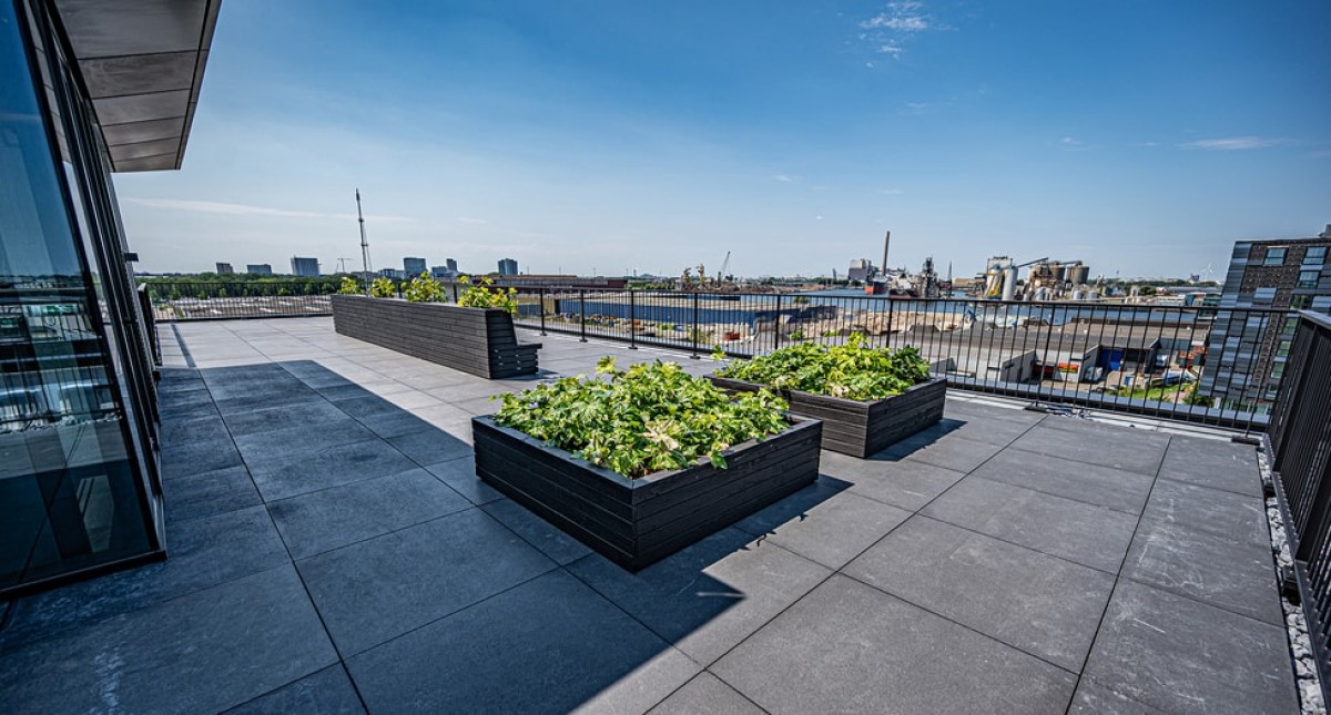 Contentoo will be renting 460 m2 in the Amsterdam Houthavens