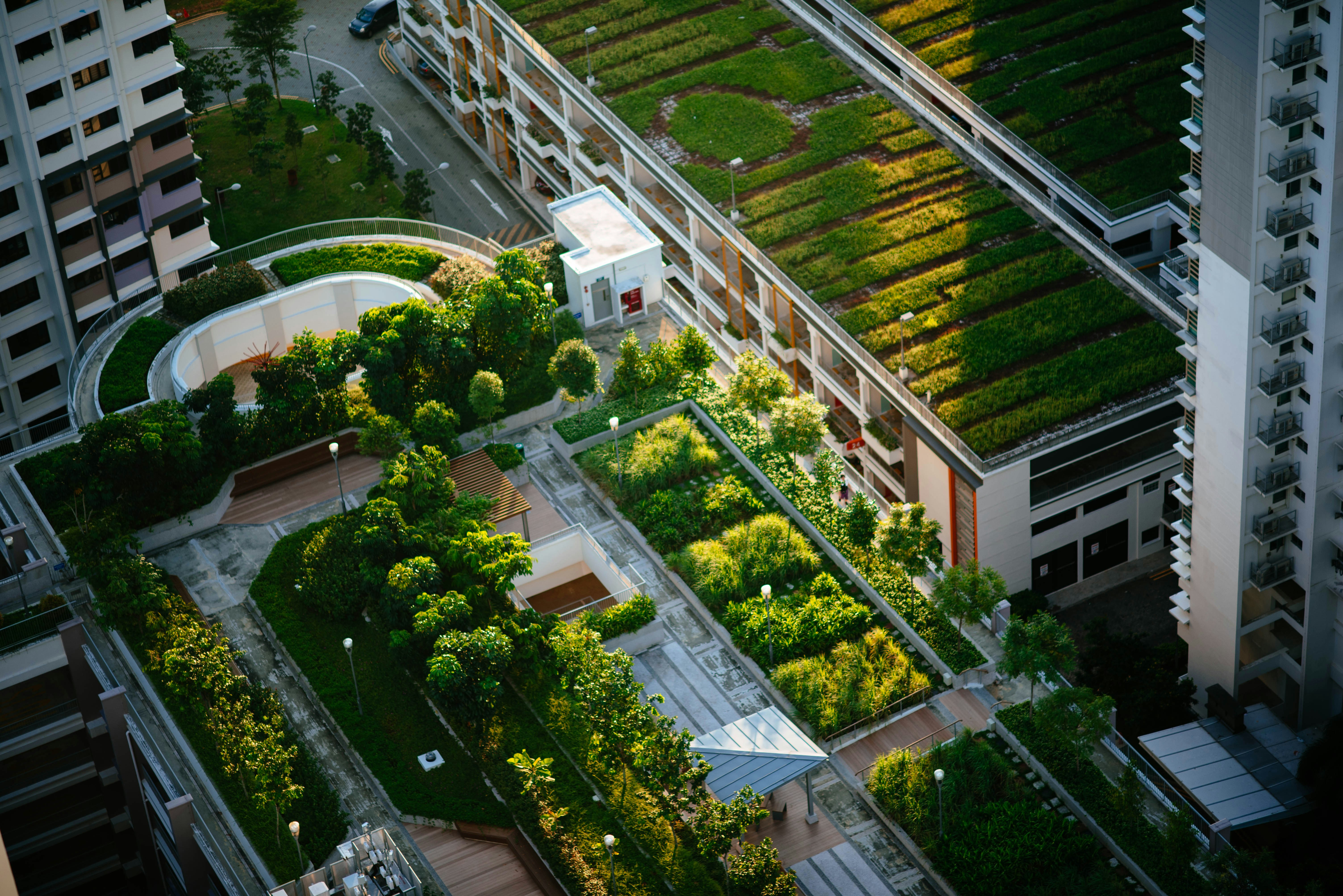 The benefits of green roofs on office space environments